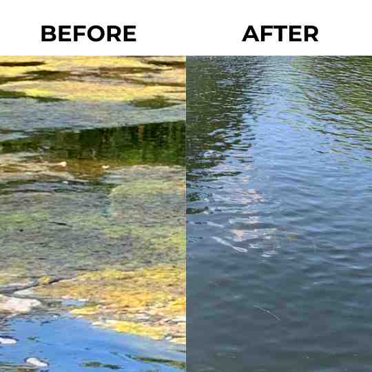 Nature's Pond Conditioner Spring & Summer – Nature's Pond Care